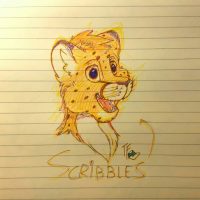 Writing Coach In a Box: Card Twelve. – Scribbles of a Chee